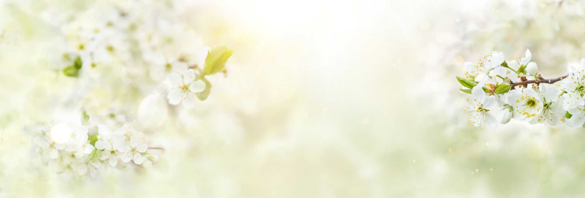 【個人情報漏洩 対応】PマークとJAPHICマークの比較 - マーク取得支援株式会社